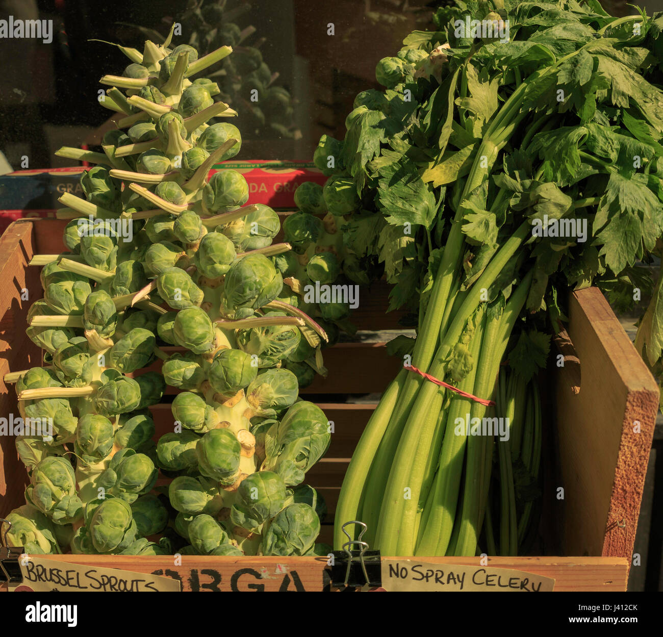 Vegetables greens hi-res stock photography and images - Alamy