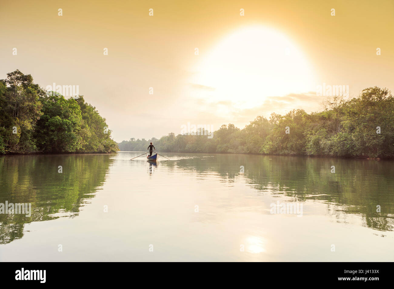 Cardamom reforestation project hi-res stock photography and images - Alamy