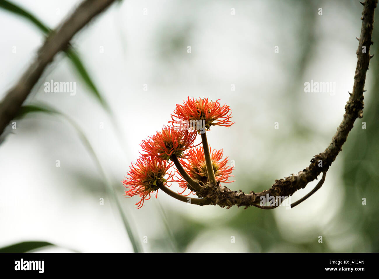 Kabale Landscape High Resolution Stock Photography and Images - Alamy