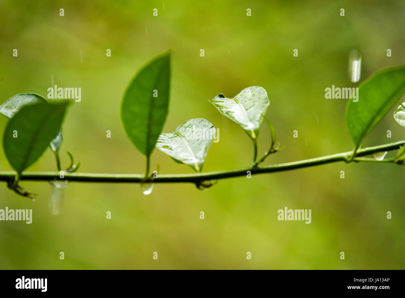 Kabale landscape hi-res stock photography and images - Alamy