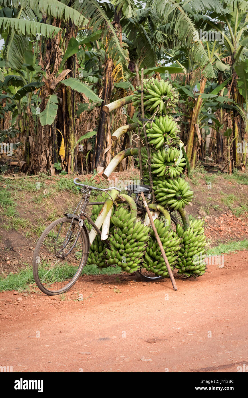 Kabale landscape hi-res stock photography and images - Alamy