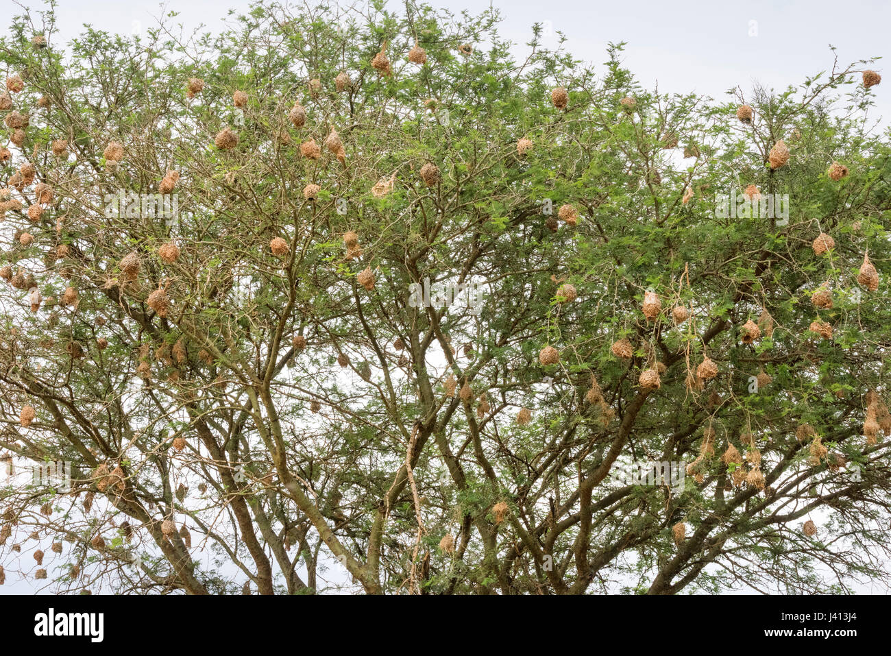 Kabale landscape hi-res stock photography and images - Alamy