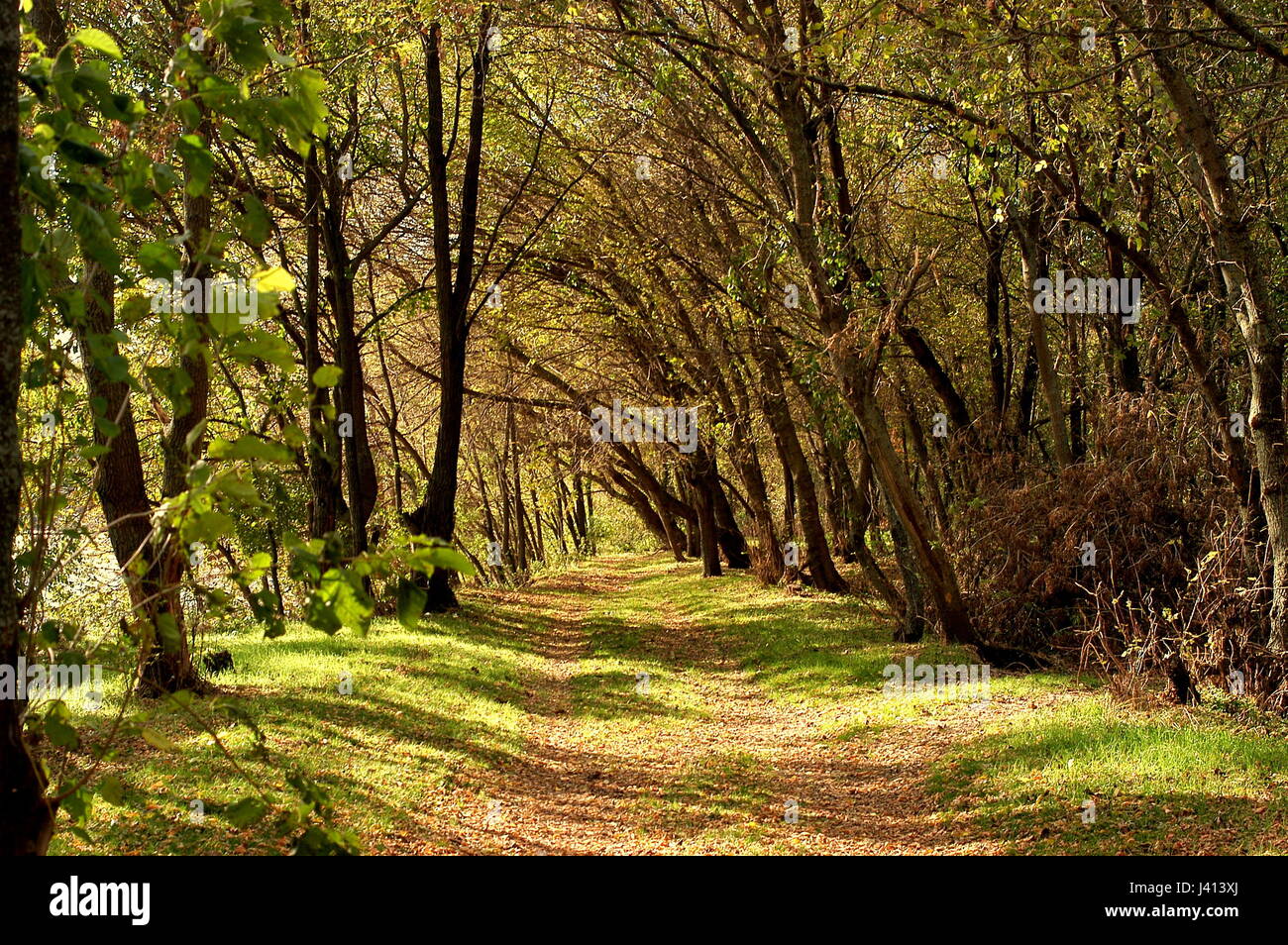 Disney vibes hi-res stock photography and images - Alamy