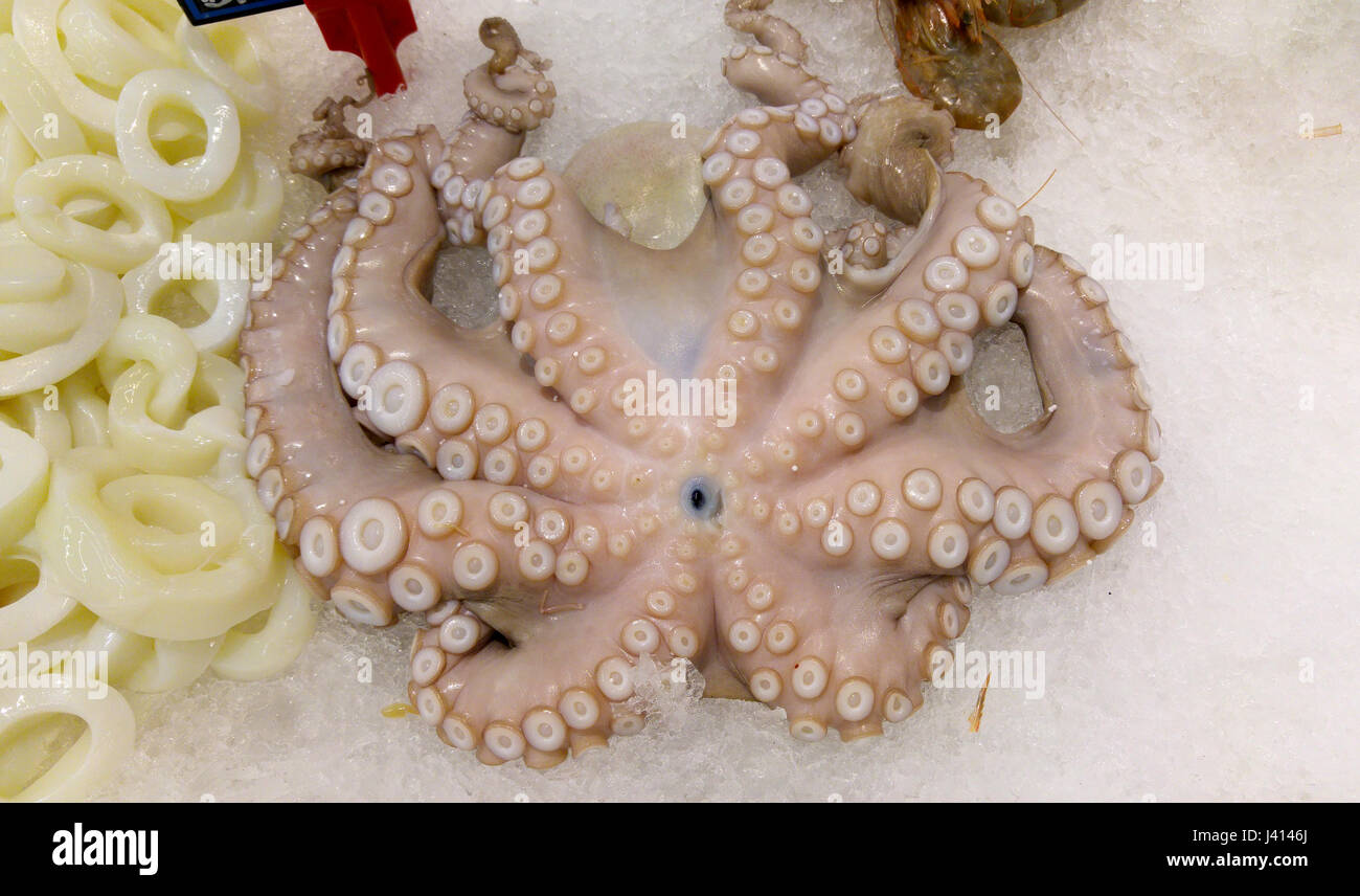 fresh sea food market ice display with octopus Stock Photo - Alamy