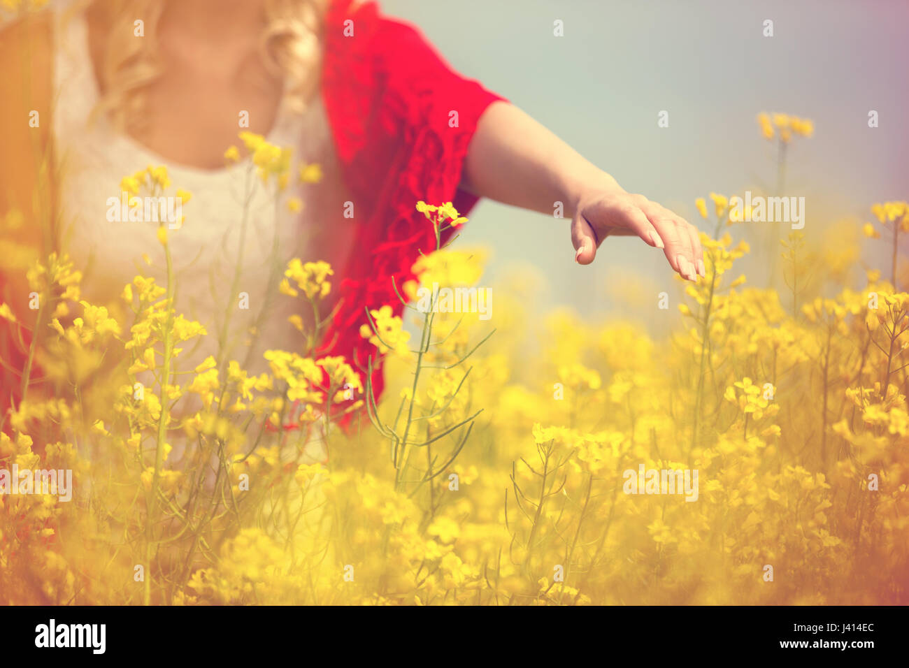 touch with nature, female hand touching yellow flowers Stock Photo - Alamy