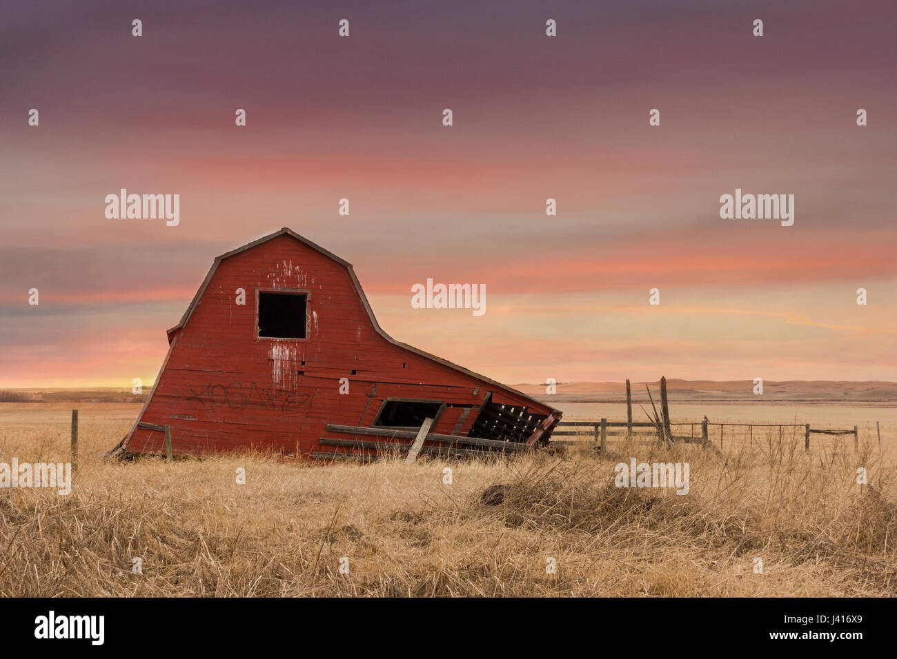 An old barn in Alberta at sunset Stock Photo - Alamy