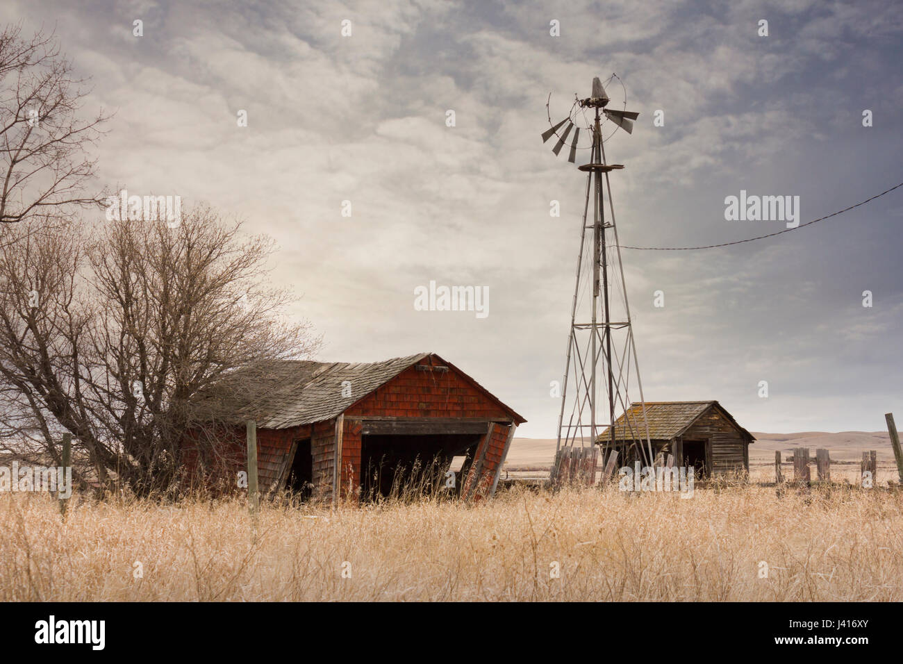 An old farmyard on the Alberta Prairie Stock Photo - Alamy