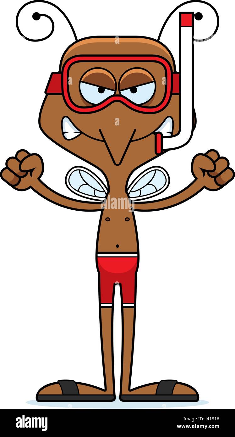 A cartoon snorkeler mosquito looking angry Stock Vector Image & Art - Alamy