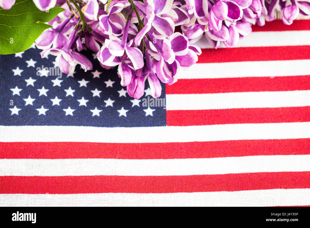 Fresh spring purple lilac and miniature flags on wooden board with room ...