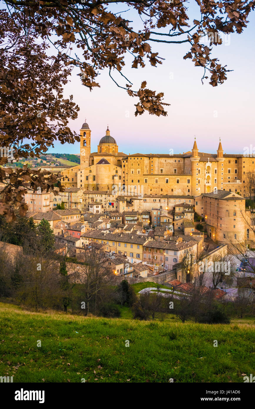 Urbino (Marche, Italy) - A walled city in the Marche region of Italy, a ...