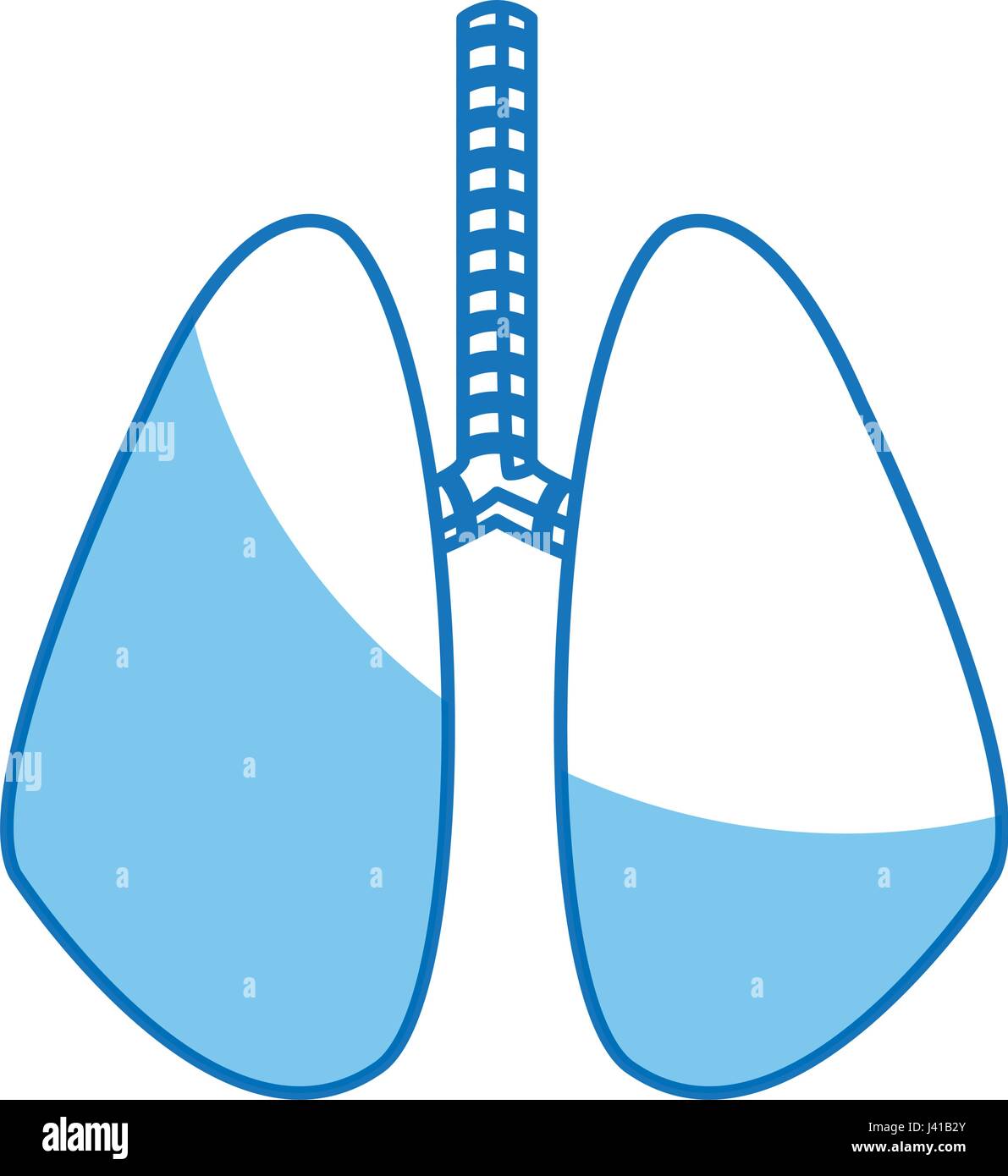 Healthy alveoli Stock Vector Images - Alamy