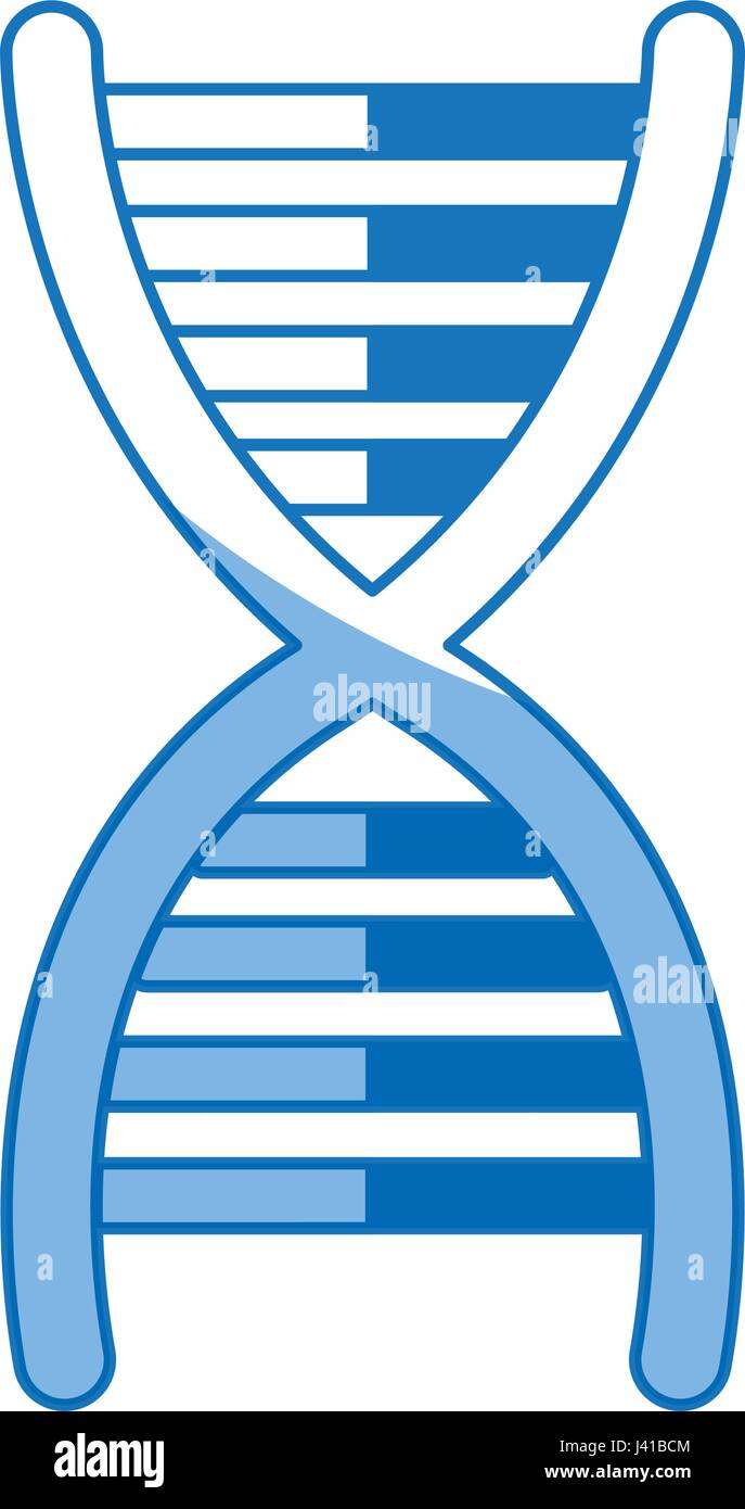 dna molecule chromosome biology genetic shadow Stock Vector Image & Art ...