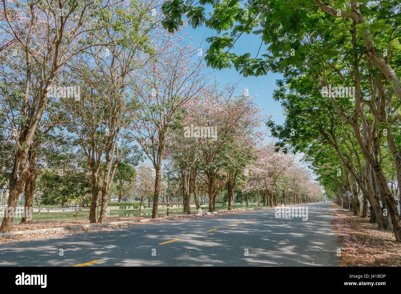 Man made tree hi-res stock photography and images - Alamy