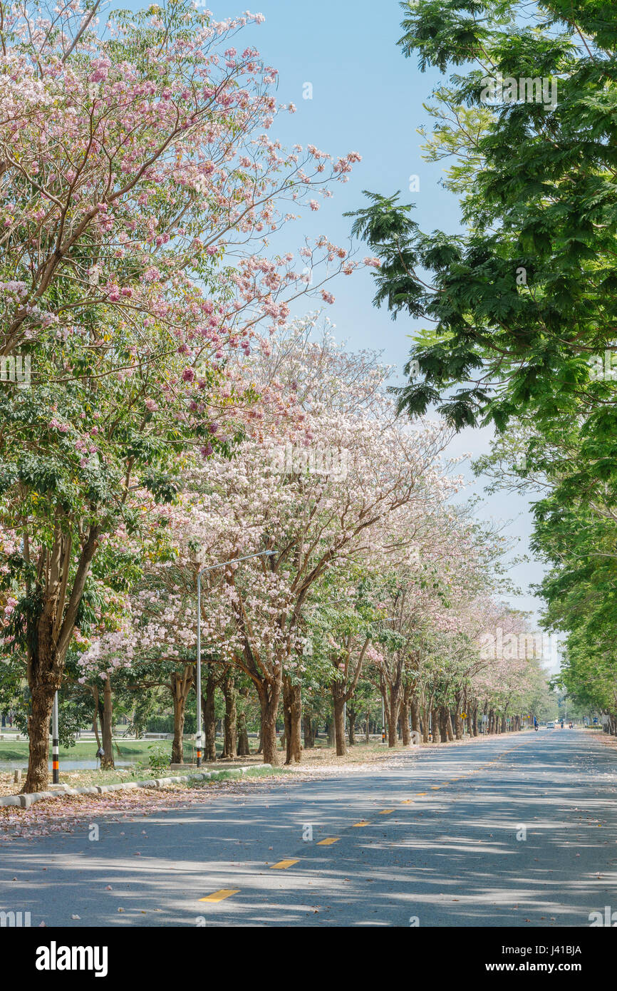 Man made tree hi-res stock photography and images - Alamy