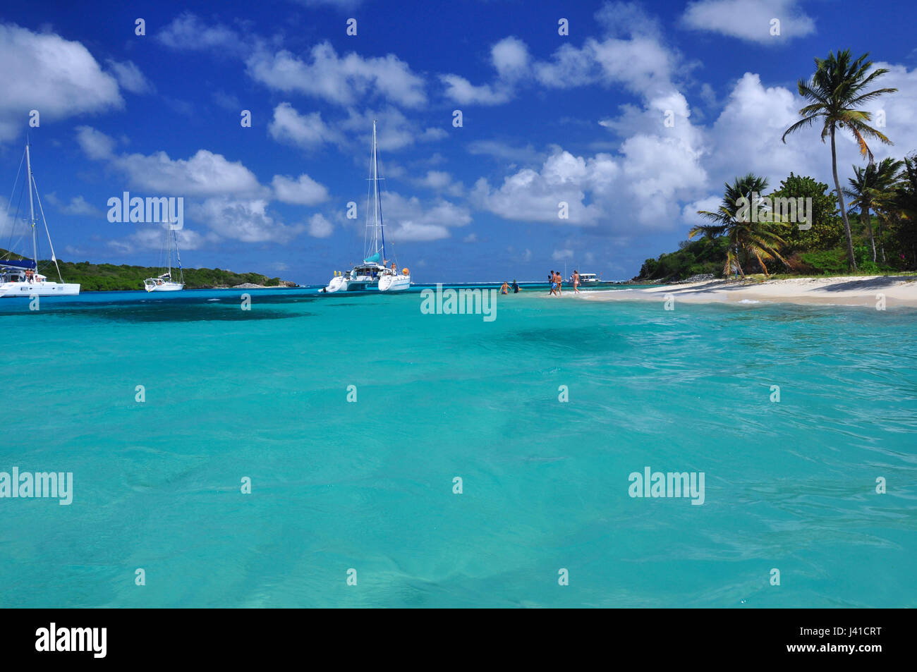 sailing ships on the sea and beach with palms, Petit Rameau, Tobago ...