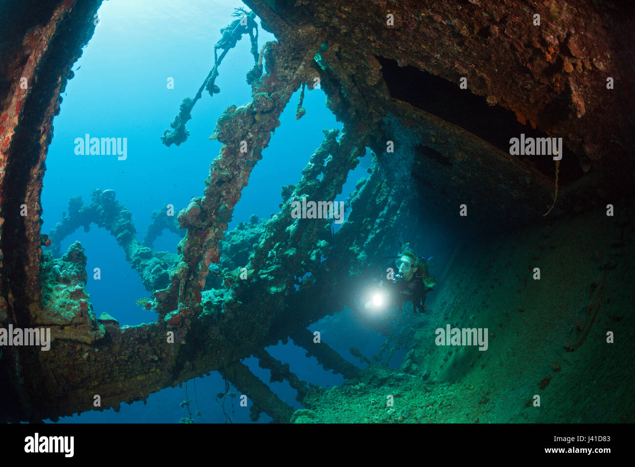 Scuba Diver at Umbria Wreck, Wingate Reef, Red Sea, Sudan Stock Photo ...