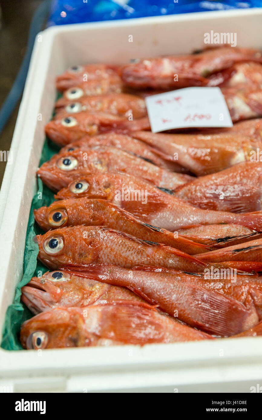 Fish for sale, Tsukiji Market, Tokyo, Japan Stock Photo - Alamy