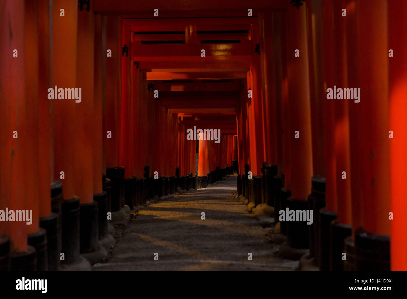 Detail of one of the parallel rows of gates called Senbon Torii ...