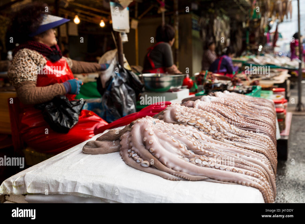 Octopus for sale at Jagalchi Fish Market, Jagalchihaean-ro, Jung-gu ...