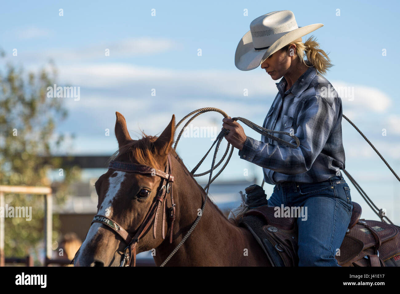 Cowgirl Roping High Resolution Stock Photography and Images - Alamy