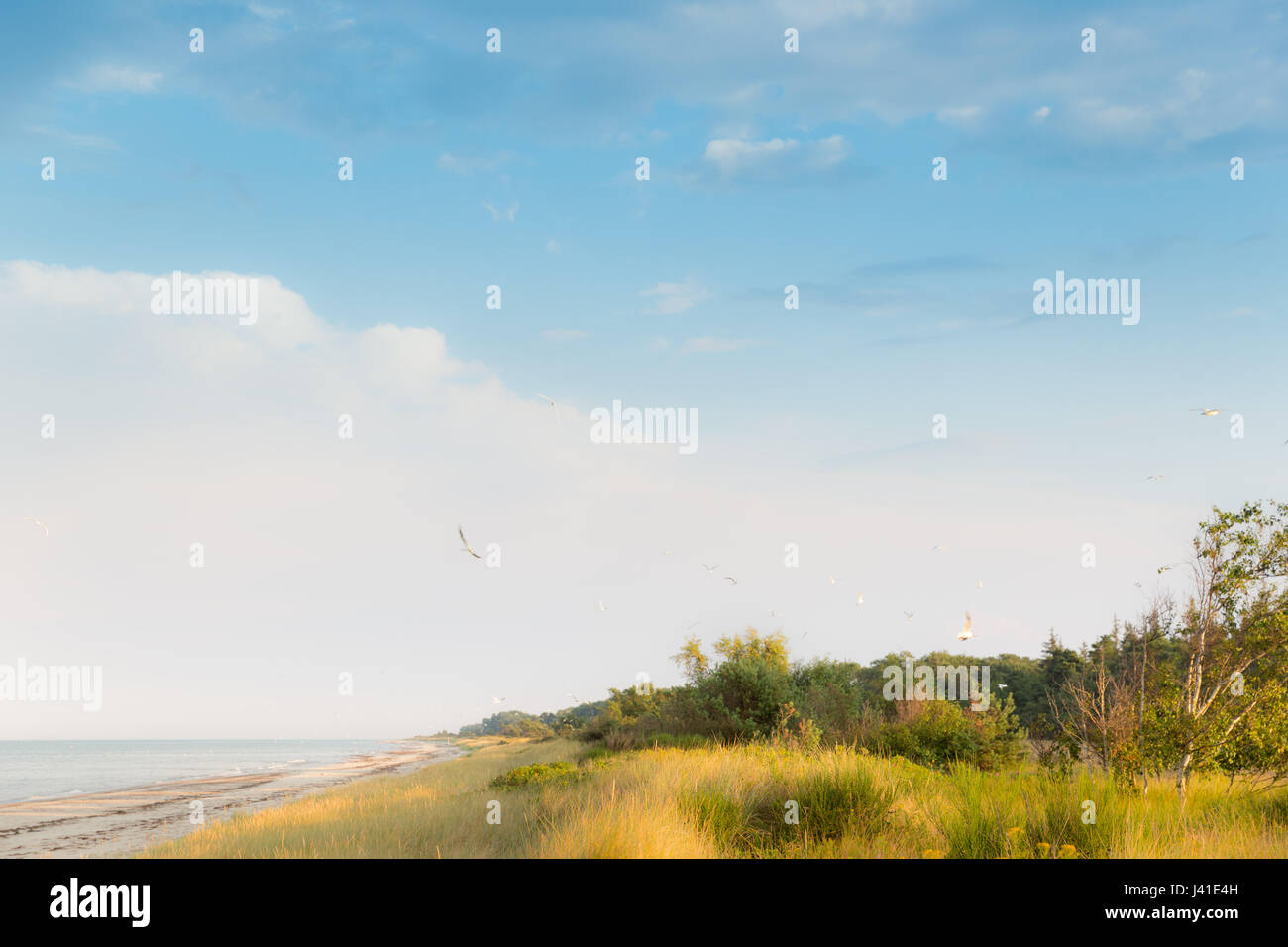 Coastal scenery, Marielyst, Falster, Denmark Stock Photo - Alamy