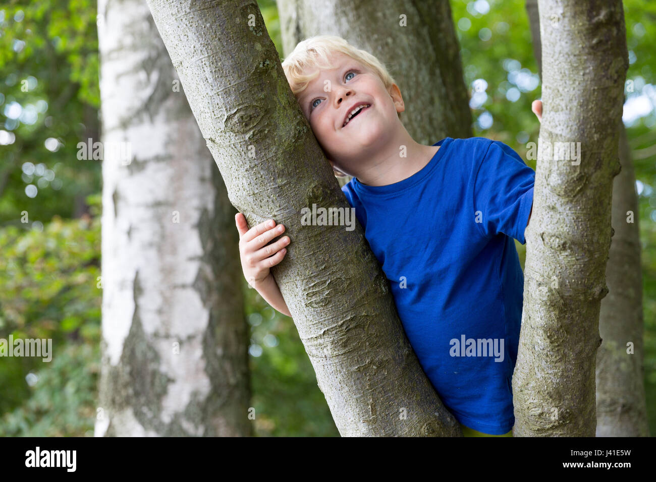 Boy leaning against a tree trunk hi-res stock photography and images ...