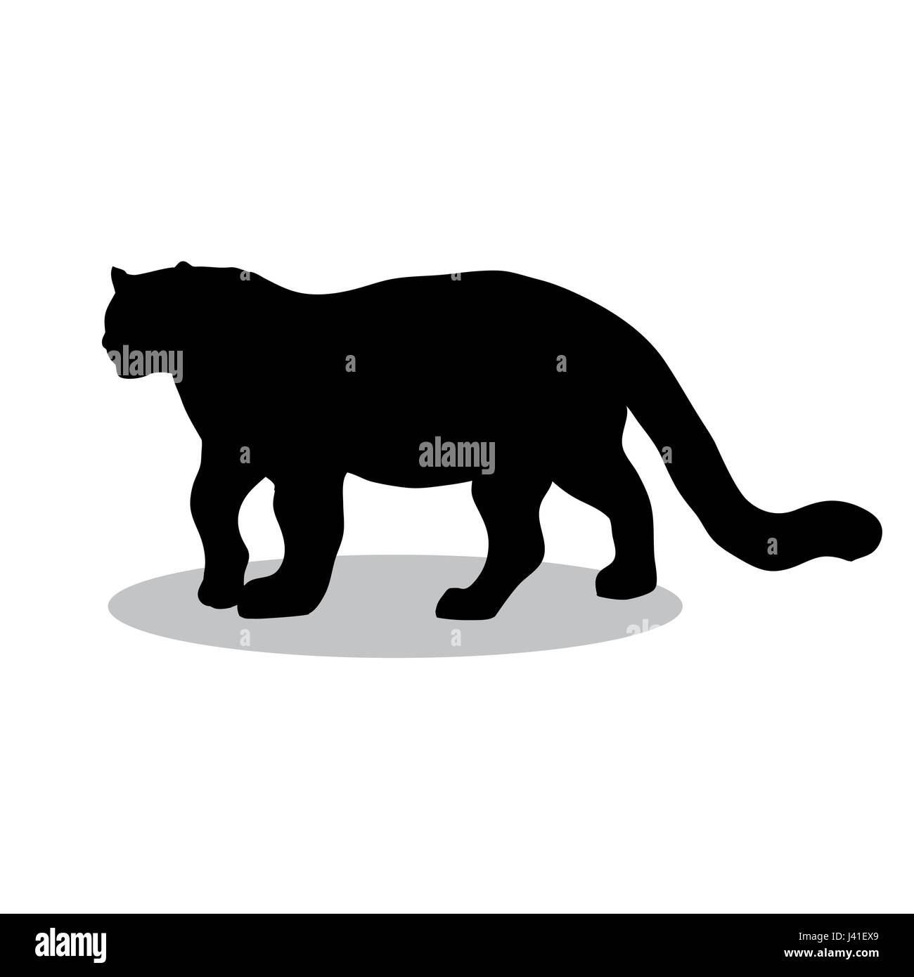 Vector snow leopard Stock Vector Images - Alamy