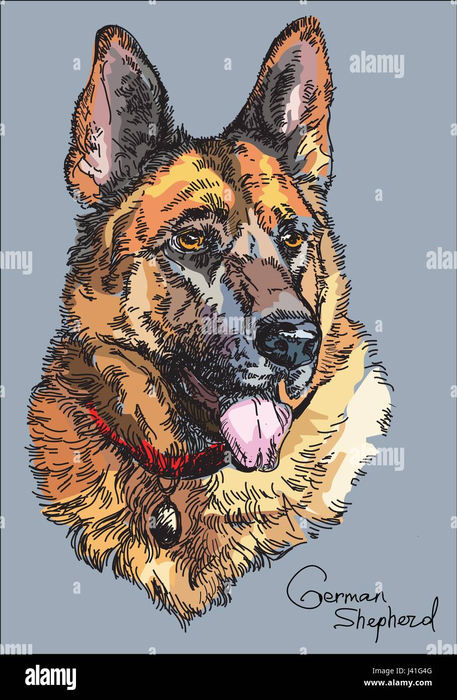 Colorful portrait of German shepherd vector hand drawing Illustration ...