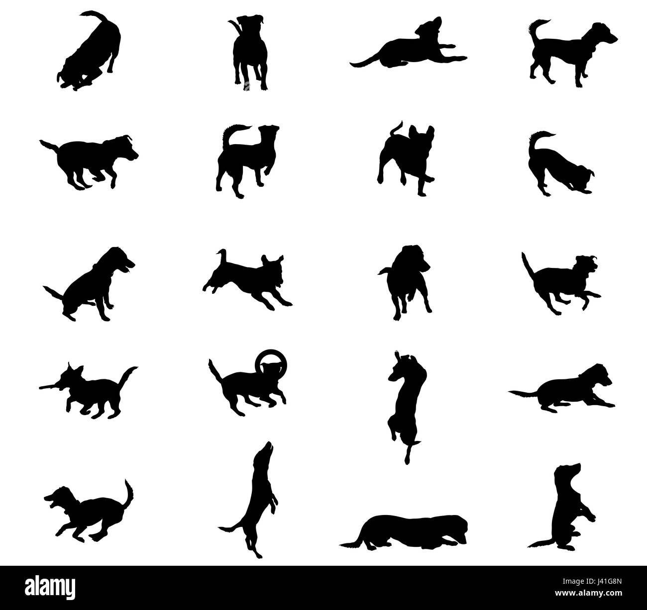 Adult black dog running Cut Out Stock Images & Pictures - Alamy