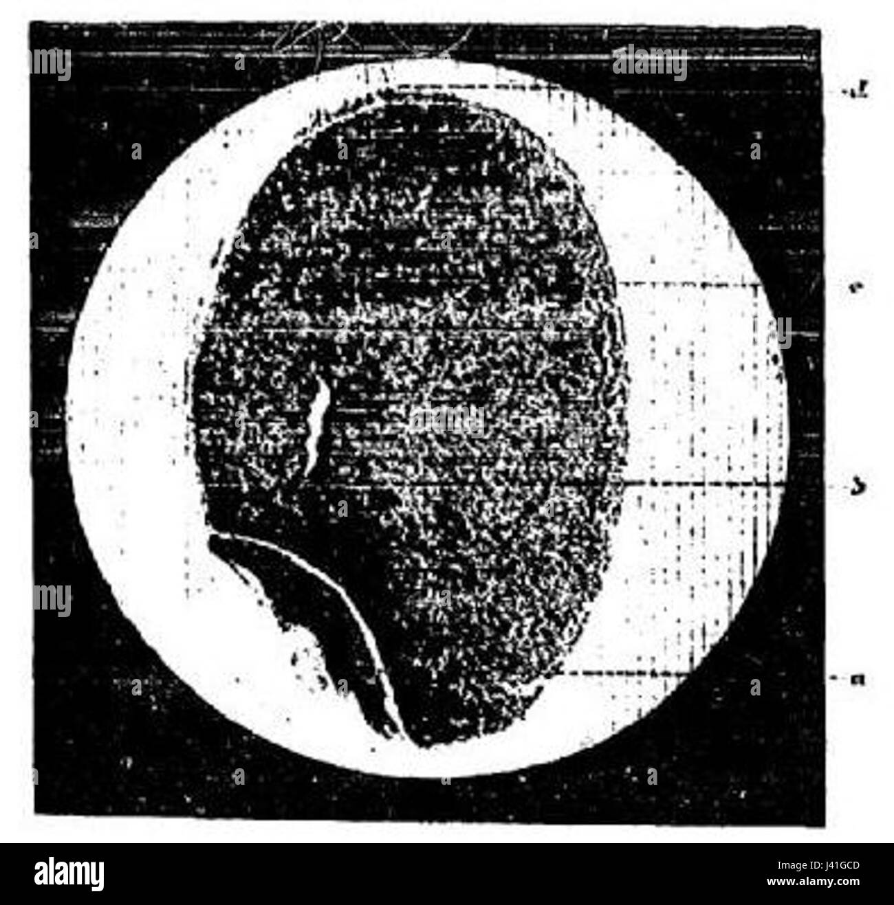 'Le pain et la panification' (The Bread and Baking) is a French work ...