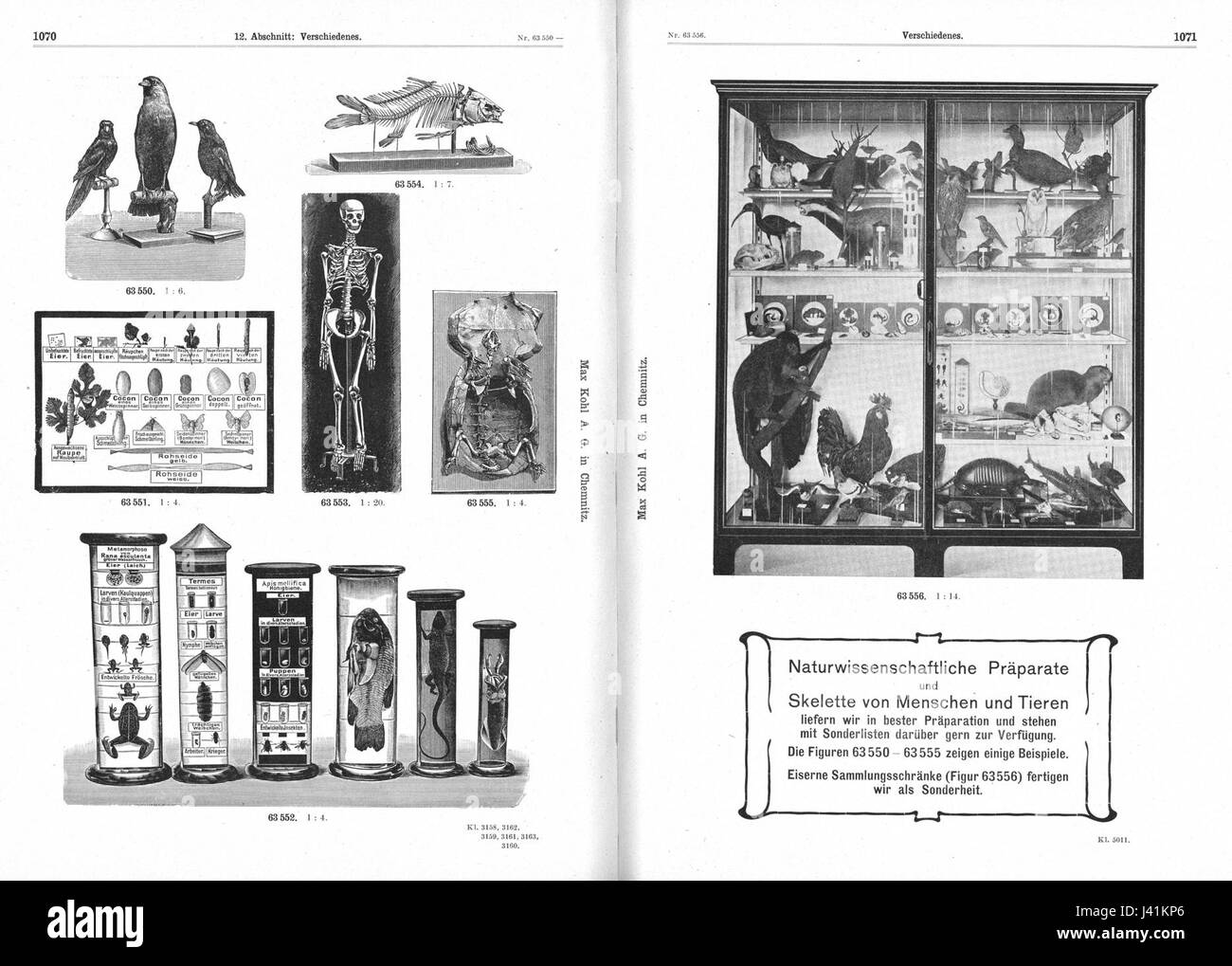 Max kohl 1070 Stock Photo - Alamy