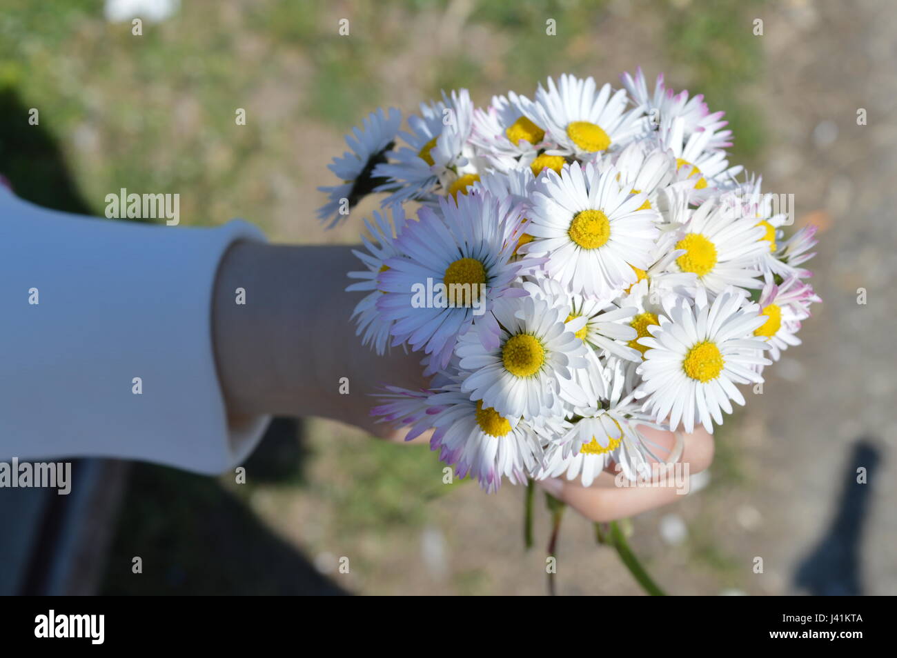 flowers in hand Stock Photo - Alamy