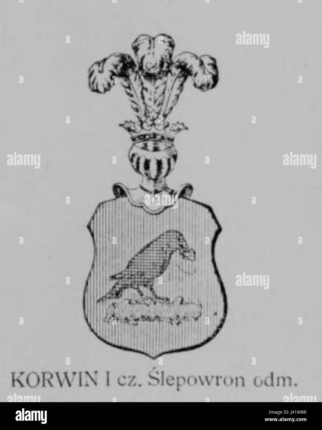 Korwin hi-res stock photography and images - Alamy