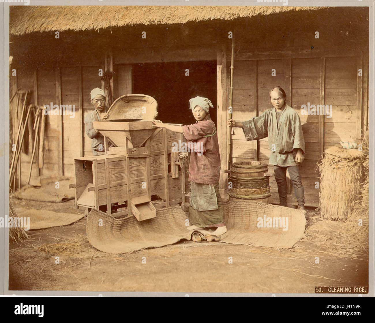 Rice farming process hi-res stock photography and images - Alamy