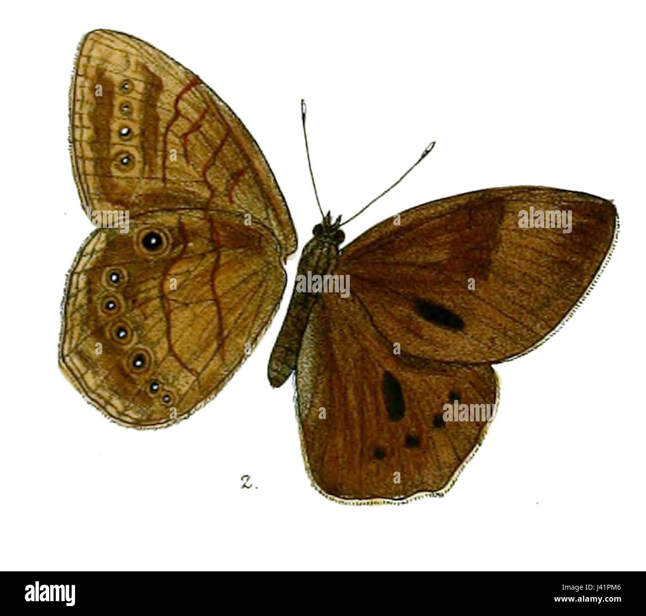 Lethe painting hi-res stock photography and images - Alamy