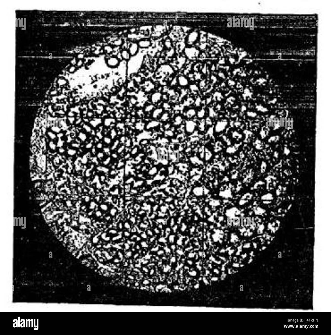 'Le pain et la panification' translates to 'Bread and baking' in ...