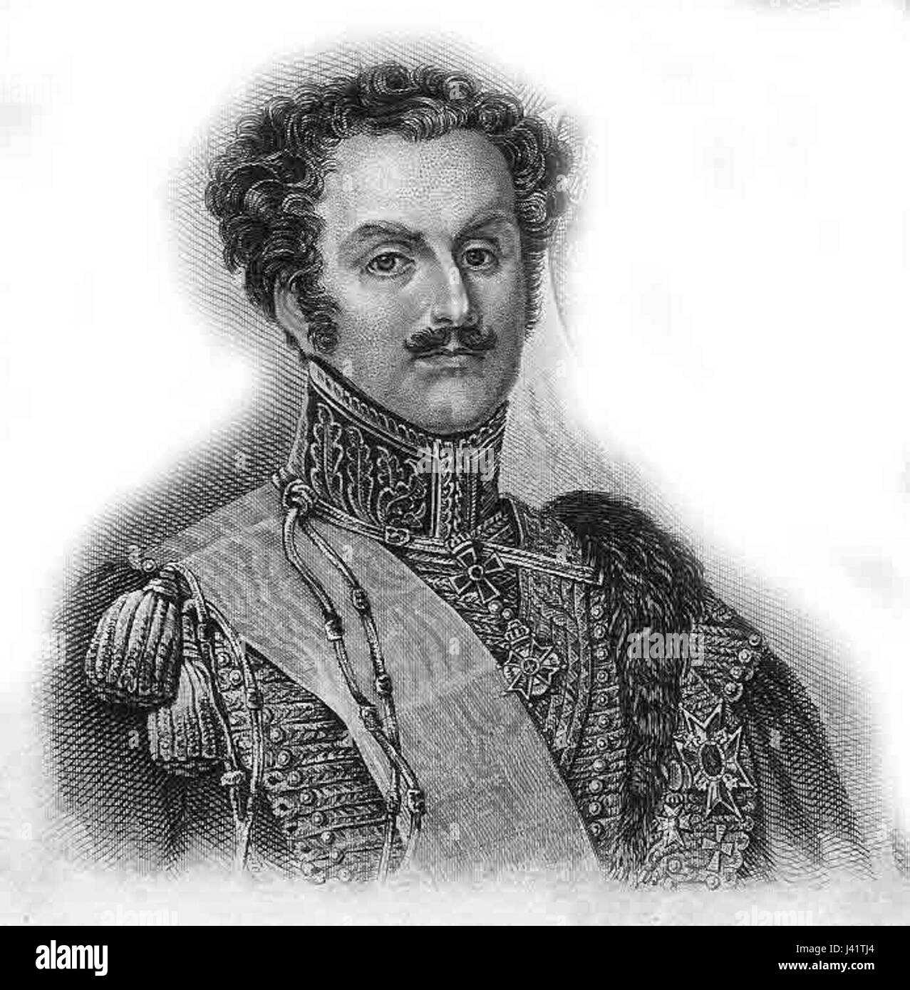 Magnus Brahe Wolf Stock Photo - Alamy