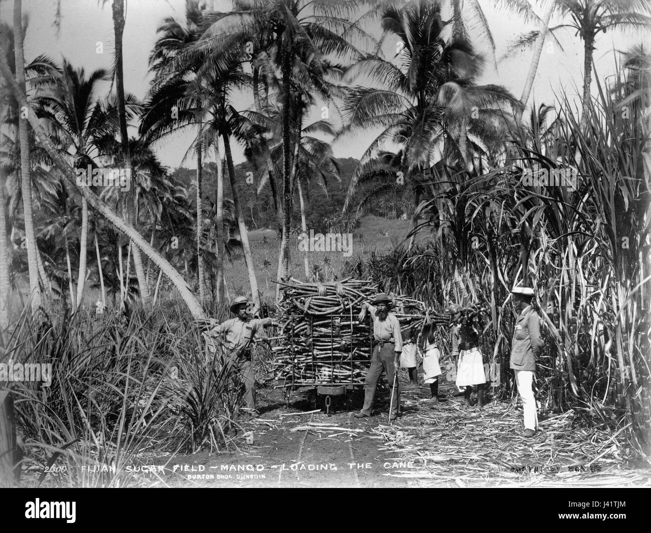 Tropical island located in Black and White Stock Photos & Images - Alamy