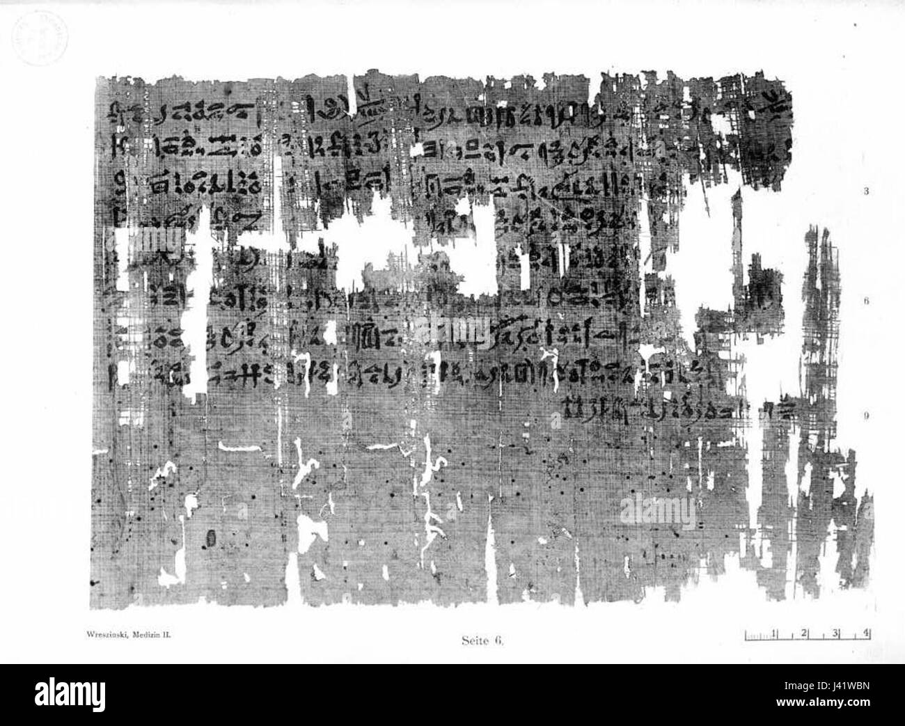 Medical papyrus egypt Cut Out Stock Images & Pictures - Alamy