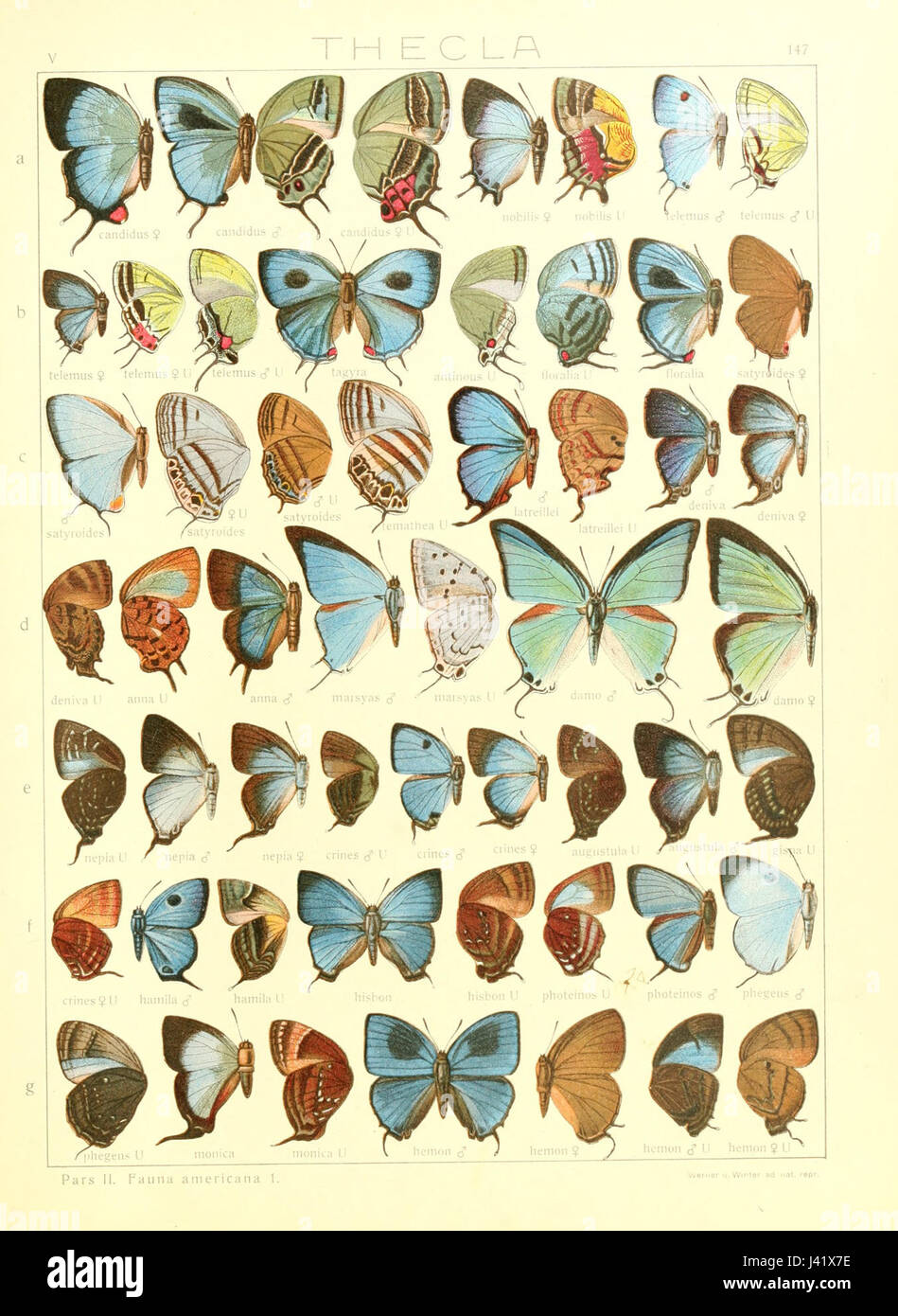 This image refers to a section of a historical text or study focused on ...
