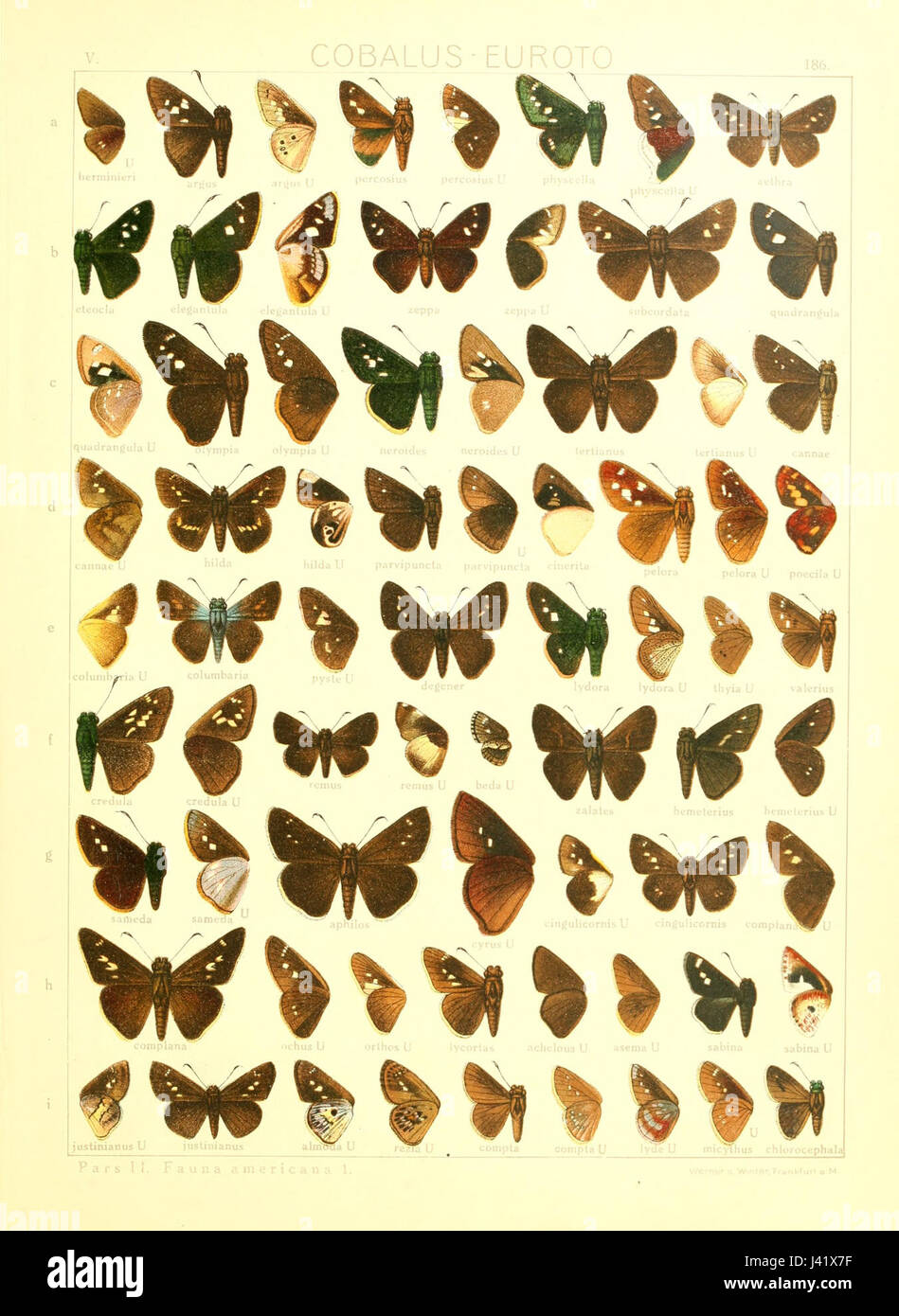 This refers to a specific section or work titled ...