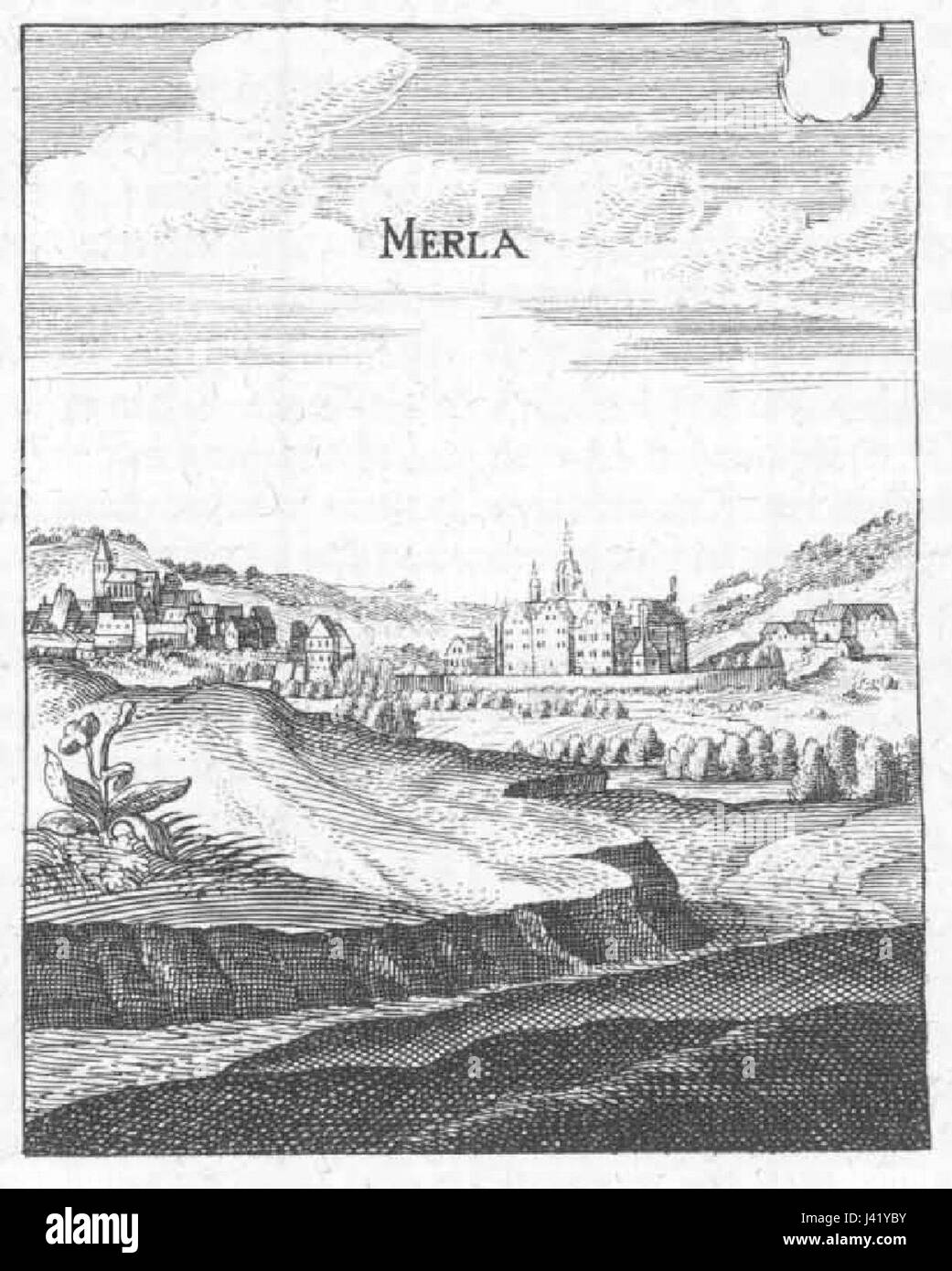 Merla hi-res stock photography and images - Alamy