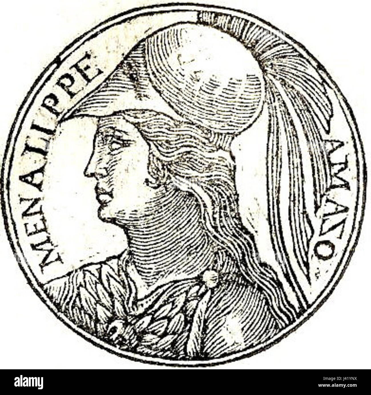 Menalippe is a character from Greek mythology, often portrayed as one ...