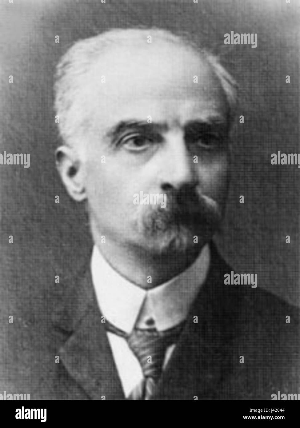 Merlino High Resolution Stock Photography and Images - Alamy