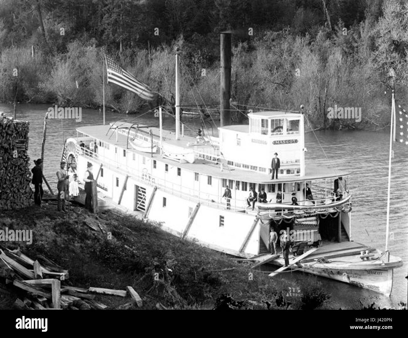 The Mascot was a sternwheel steamboat operating on the Mississippi ...