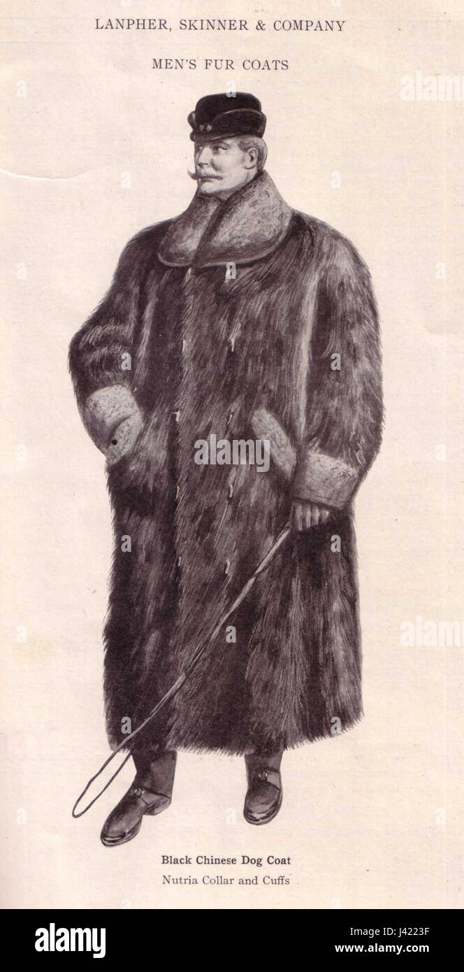 Black dog clothing hi-res stock photography and images - Alamy