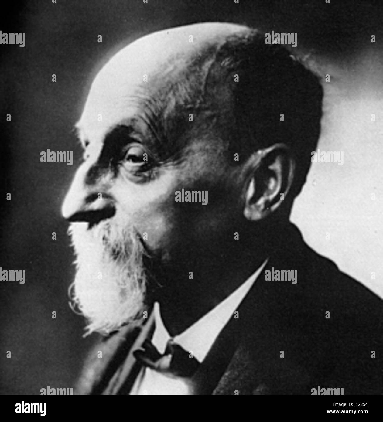 Louis Arthur Ducos du Hauron Stock Photo - Alamy