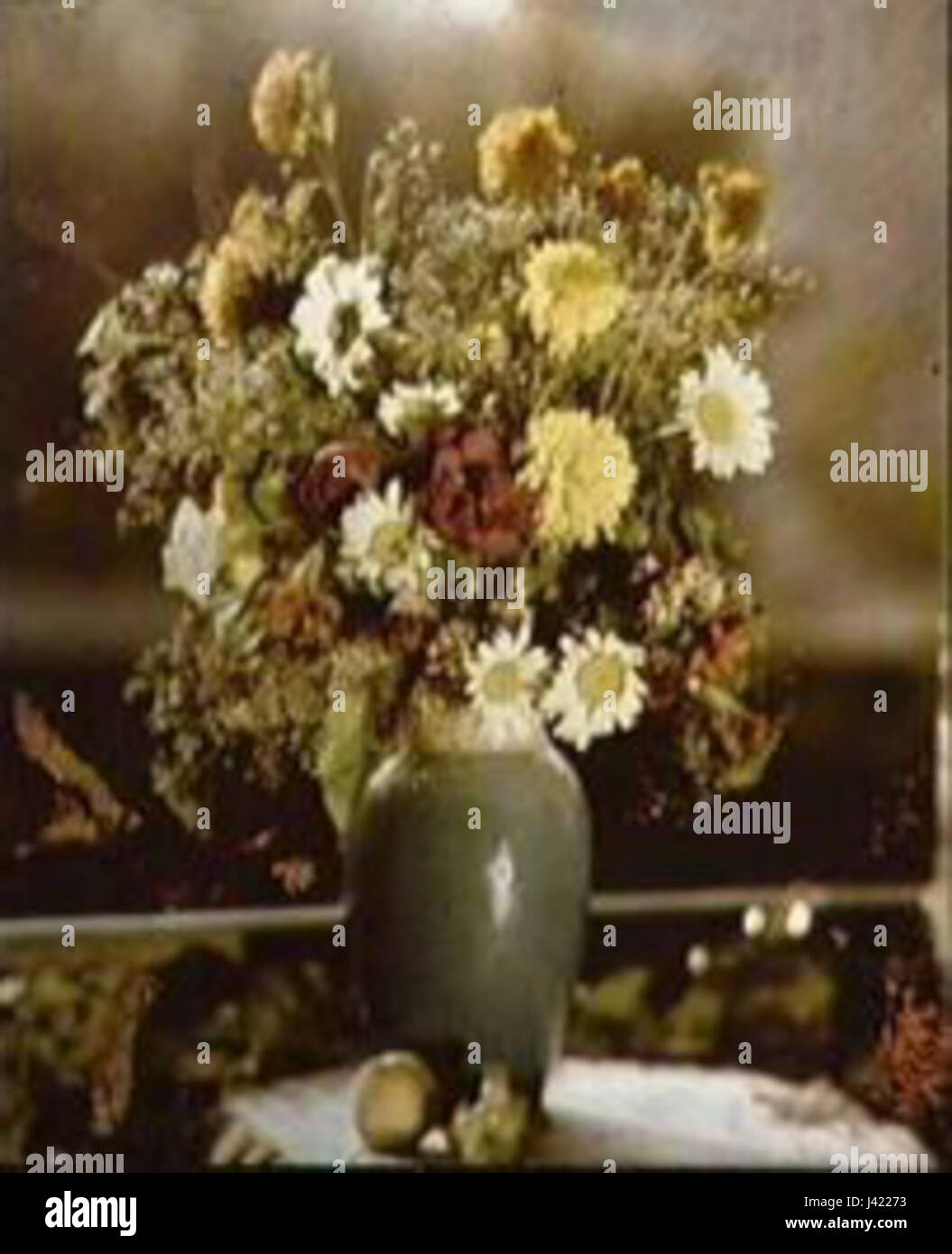 Early photo technique hi-res stock photography and images - Alamy
