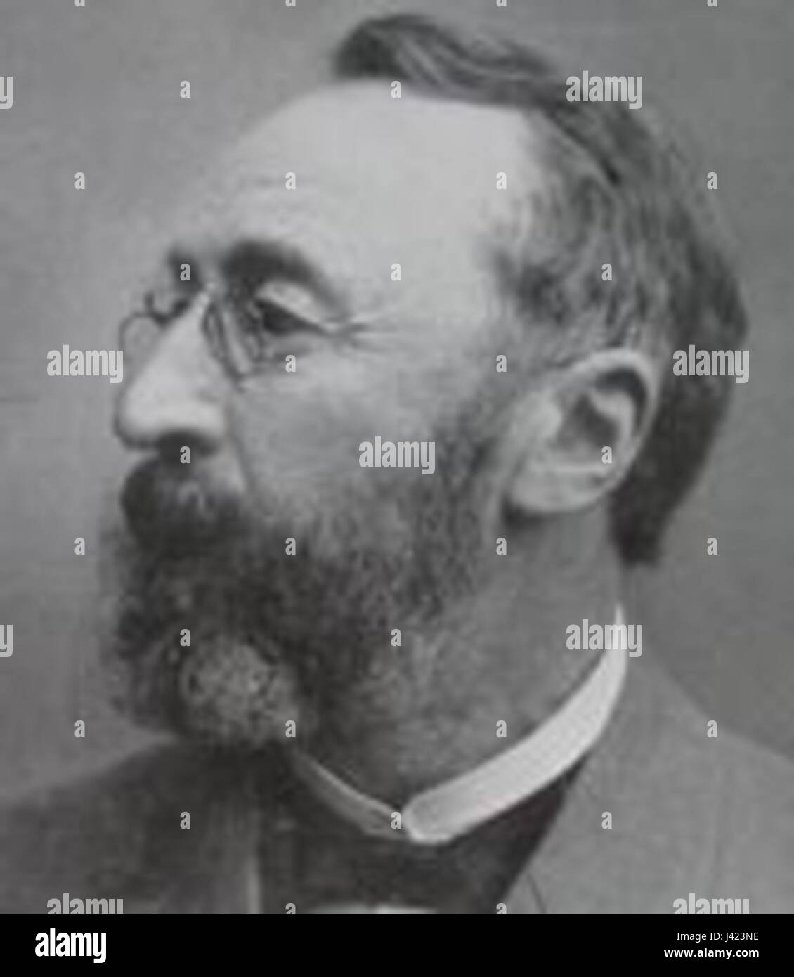 Ludwig classification hi-res stock photography and images - Alamy