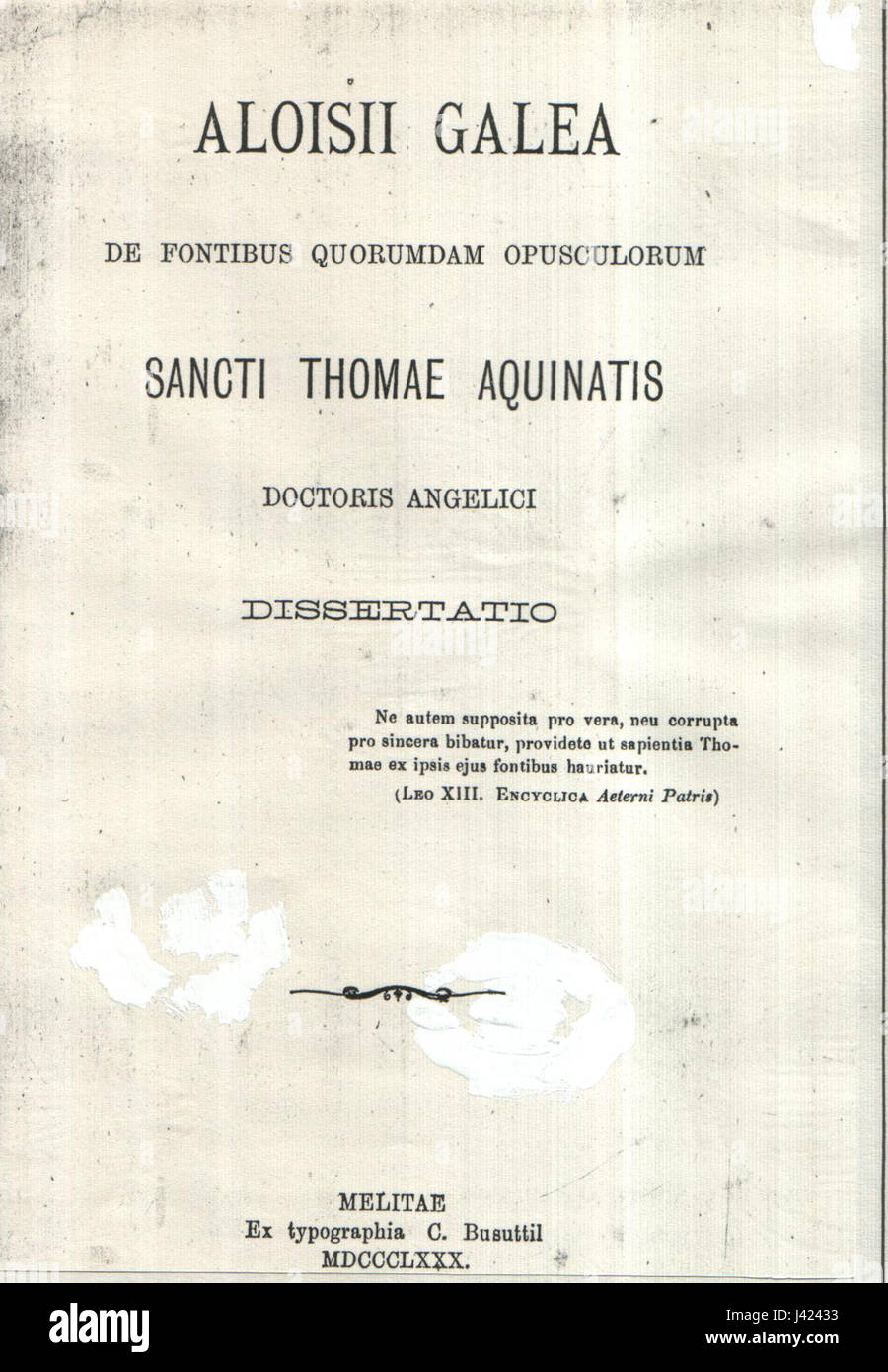 Galea hi-res stock photography and images - Alamy